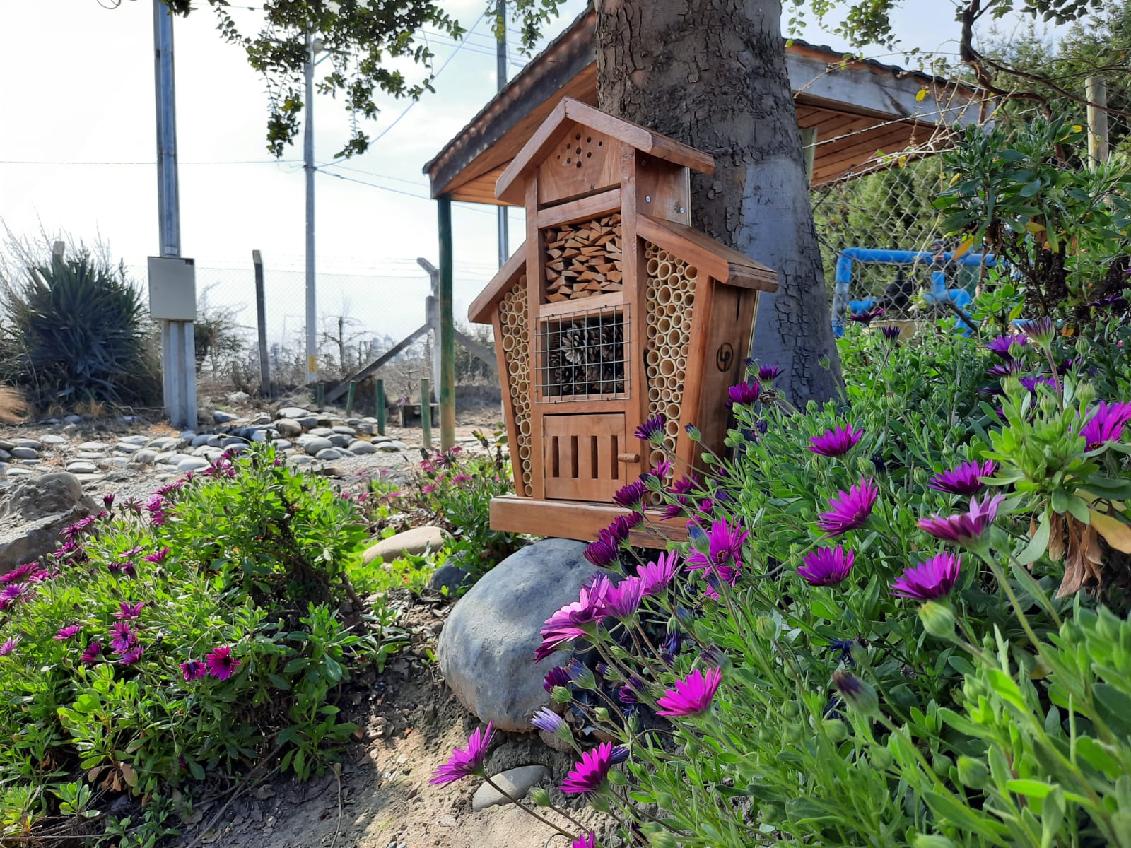 Se expanden los 'hoteles de insectos', refugios naturales para la fauna ...