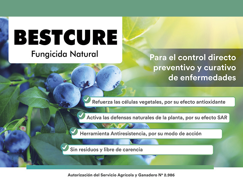 BESTCURE Fungicida Natural para el control directo, preventivo y ...