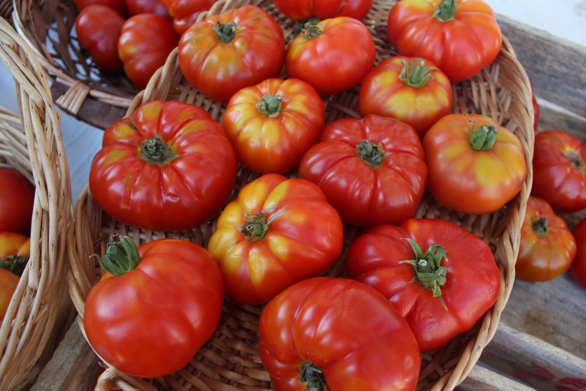 Para la agricultura de la cuenca de Limache - Redagrícola