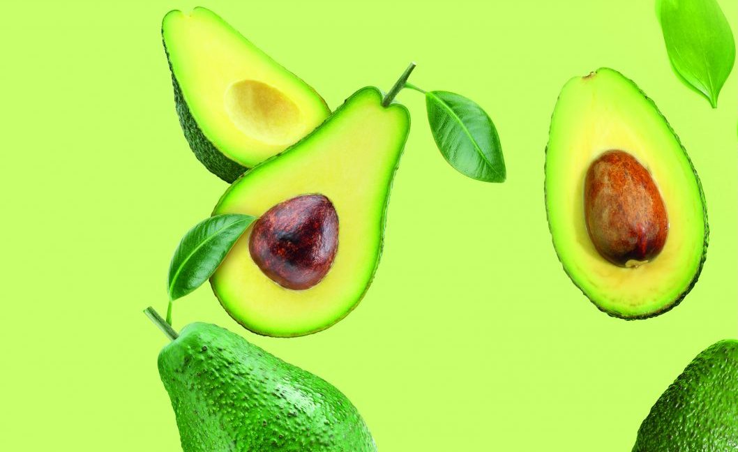 La heterogeneidad es una constante en la producción de paltos - Redagrícola