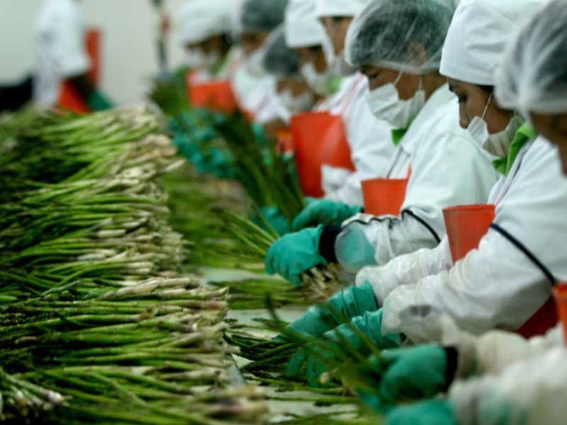 Grupo Virú compra compañía distribuidora de alimentos congelados en ...