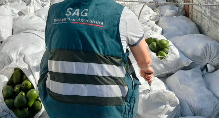 Chile: Minagri gestiona crédito de US$50 millones con el BID para ...