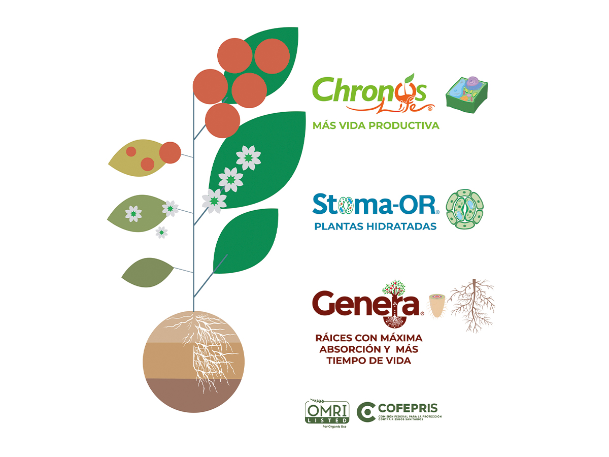 Epsilon Bios, especialistas en bioestimulación diferenciada - Redagrícola